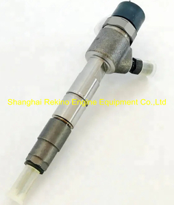 Common rail diesel fuel injector 0445110471 0986435257 - Buy 0445110471, 0986435257, Diesel ...