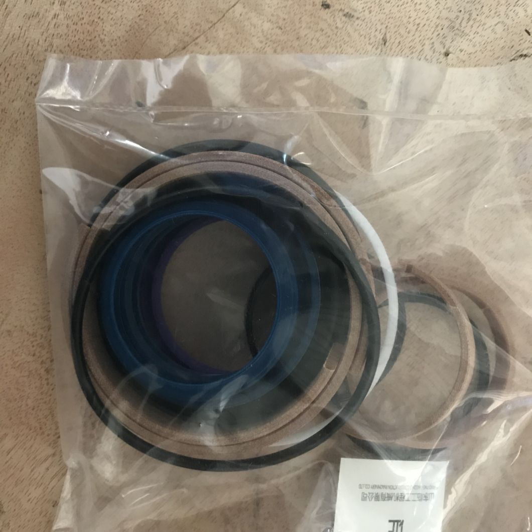 4120001004101 Sealing Ring Kit for Sdlg Wheel Loader from China ...
