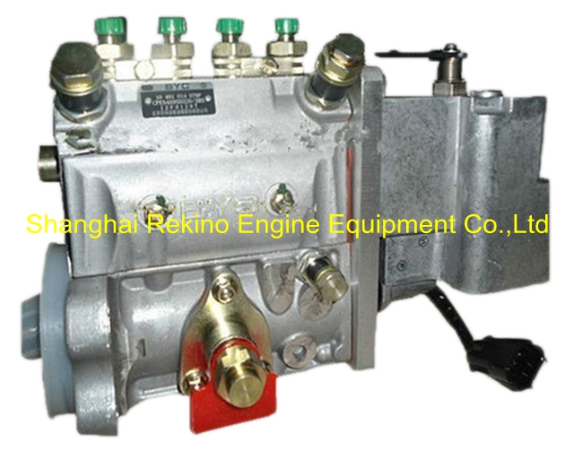 5261582 10404534004 BYC fuel injection pump for Cummins B125-33 - Buy ...