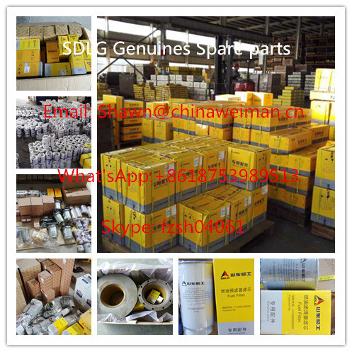 Sdlg LG958L Wheel Loader Spare Parts Fuel Filter 4110000509232/ ...