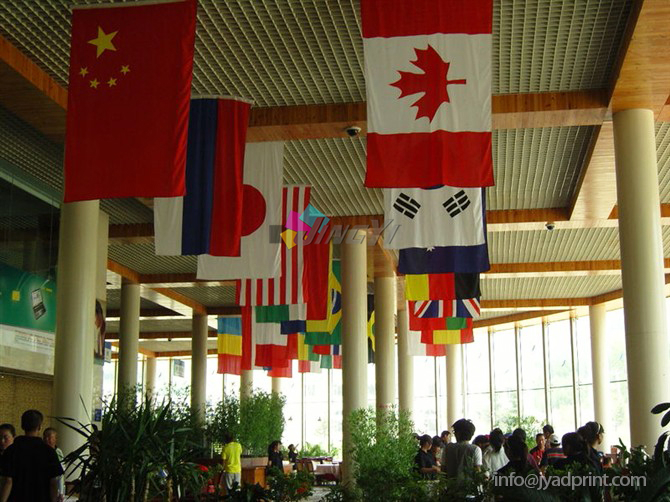 Custom Polyester Fabric Flags Light weight Fabric Flying Flag Printing ...