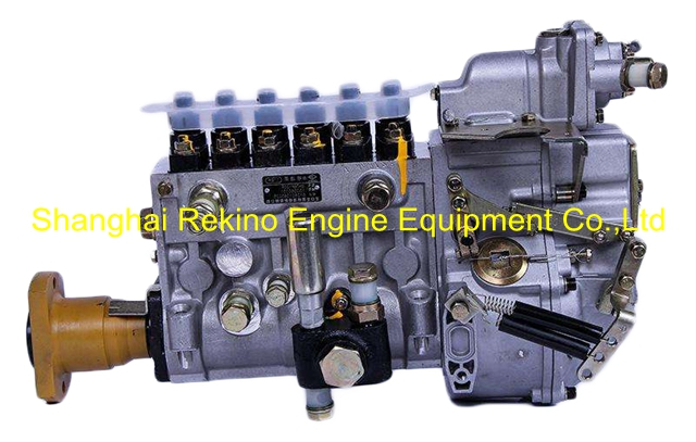 BP2230 612630030239 LONGBENG fuel injection pump for Weichai WP12C450 ...