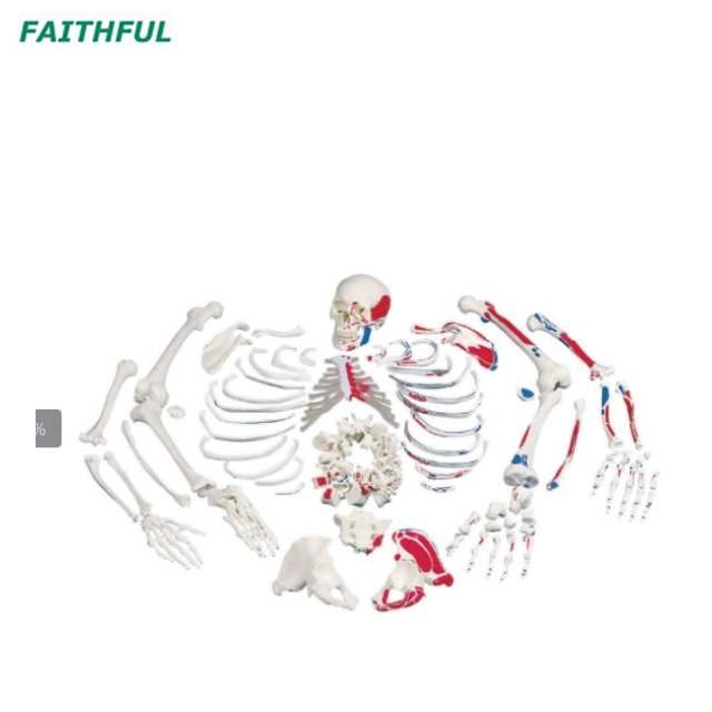 - Buy Product on Huanghua Faithful Instrument Co.,LTD