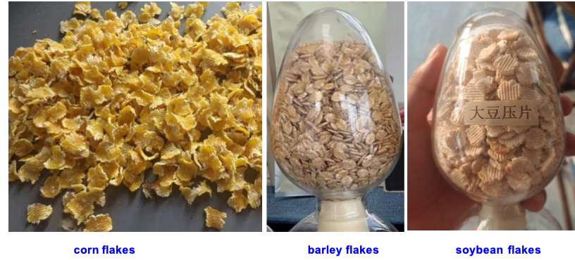 Feed Revolution: The Positive Influence of Steam Corn Flaking MIll on ...