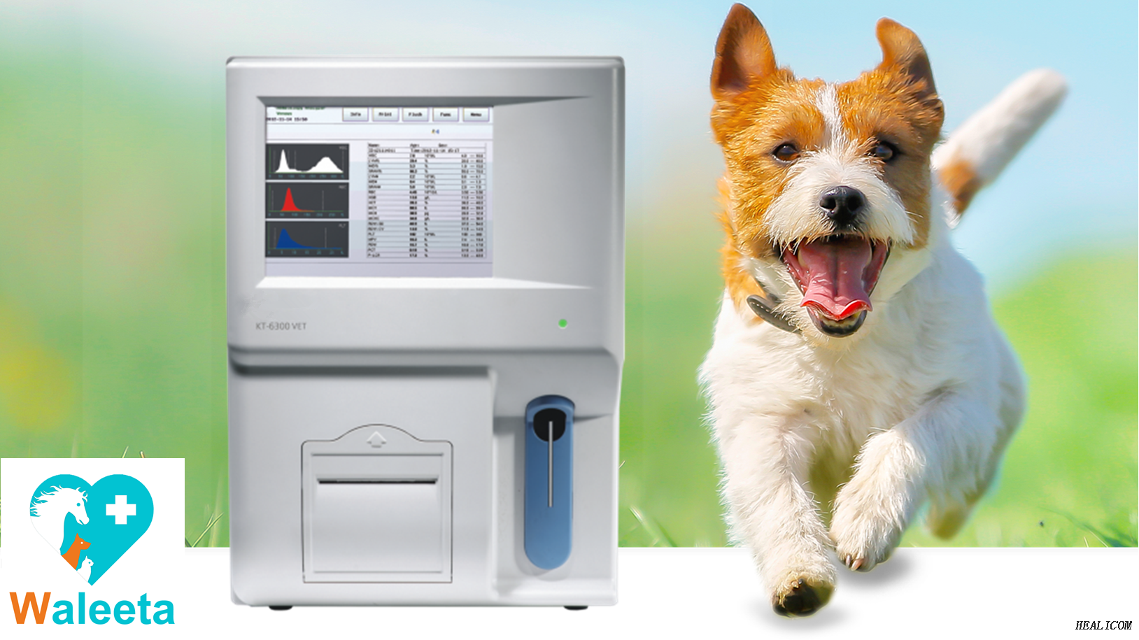 Diagnostic Machine Blood Analysis System KT-6300 VET Animal Veterinary ...
