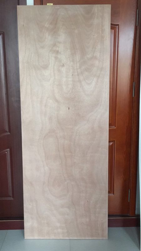 plywood flush hollow door - Buy Product on Weifang Greenland Co., Ltd.